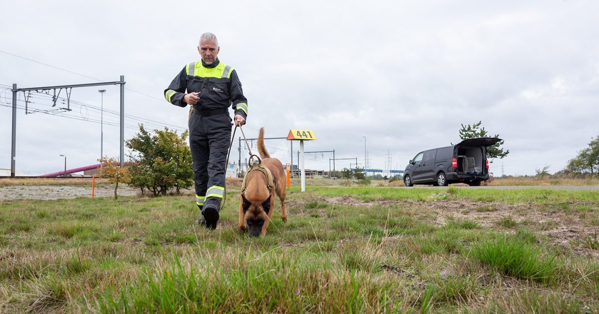 Leak detection with sniffing dogs | Intero Integrity Services